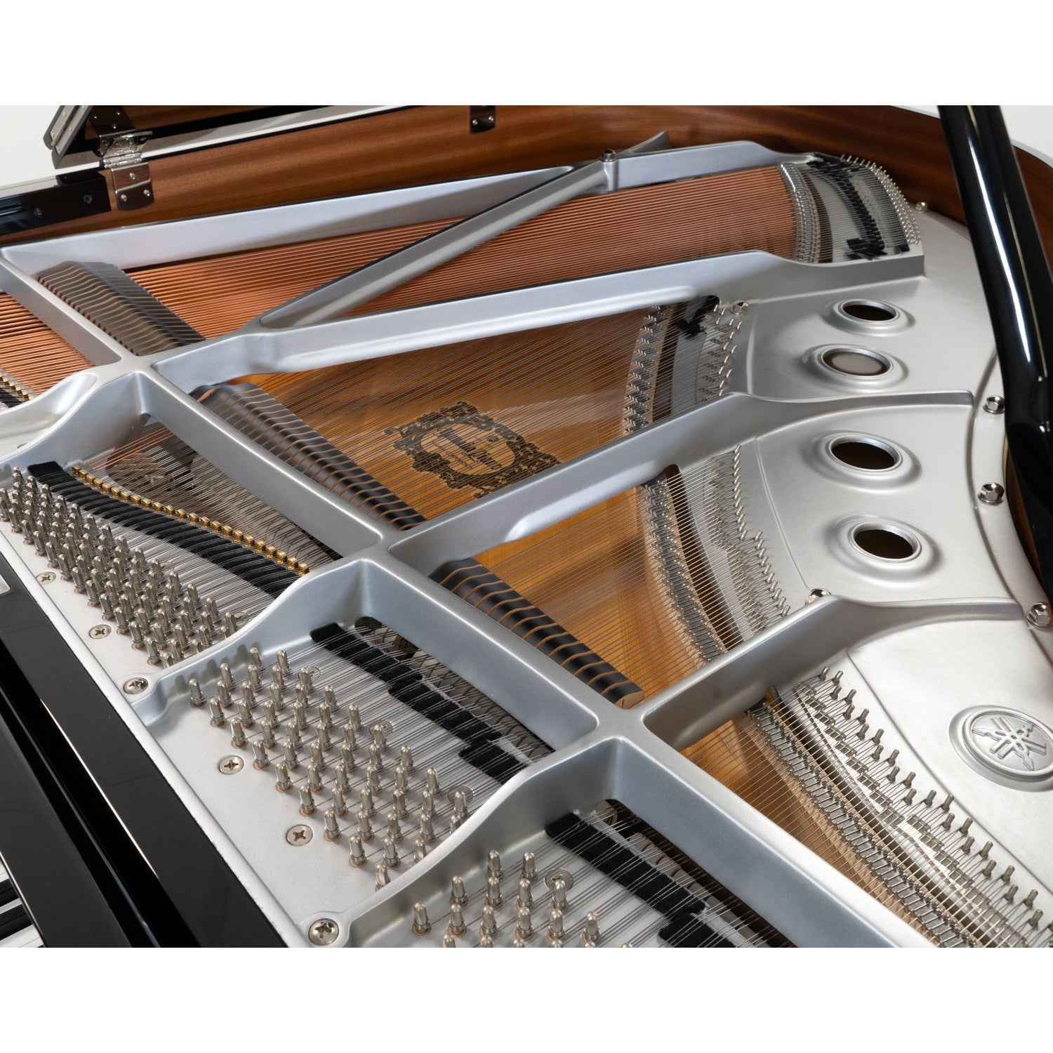 Mua Bán Grand Piano Yamaha C2X Chrome - CX Series Chính Hãng - Mới & Cũ ...